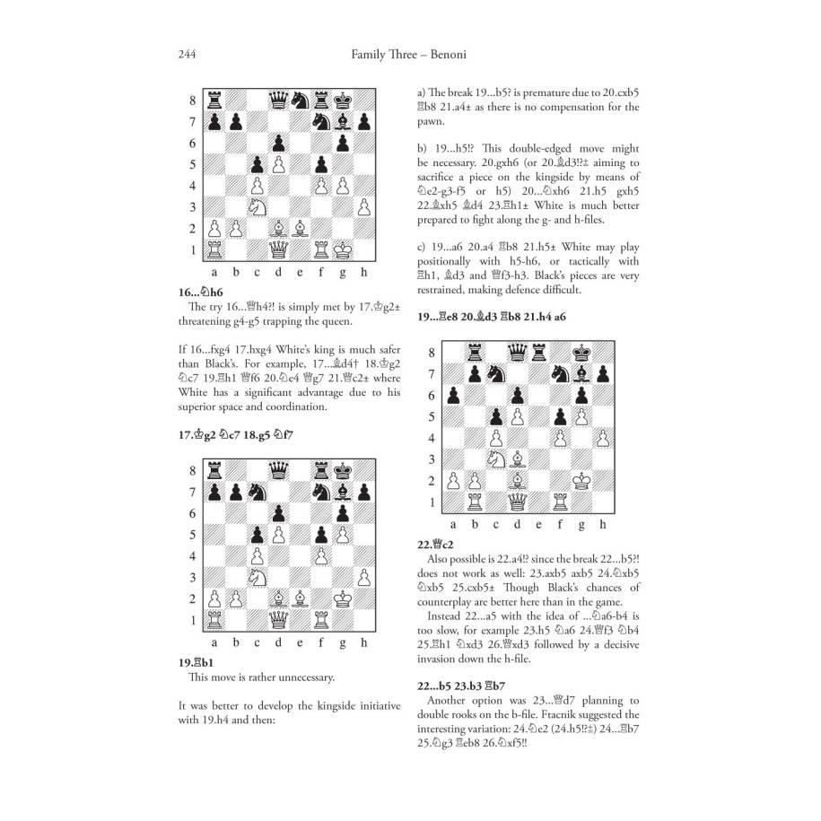 Mauricio Flores Rios "Chess Structures - A Grandmaster Guide" (K-3665)