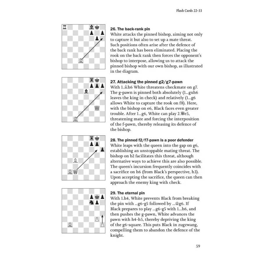 The 100 Tactical Patterns You Must Know Workbook - Frank Erwich (K-6391)