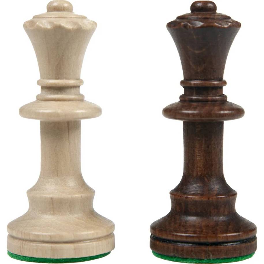 Caissa Chess Shop - Chess Tournament No 5 (S-12)