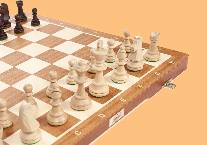 Caissa Chess Store by Jurij Zezulkin